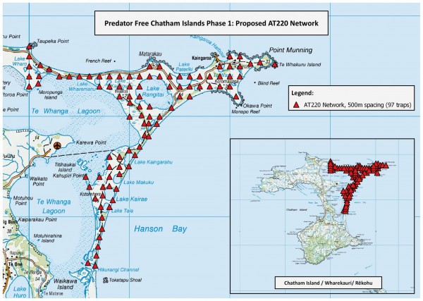 Predator Free Chathams