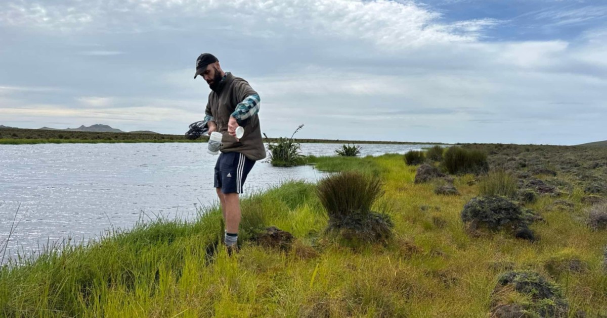 Hamish Chisholm - Chatham Islands Landscape Restoration Trust